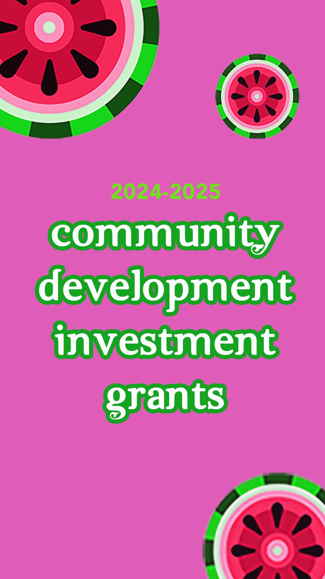 2024-25 Community Development Investments - Fund the Flow Arts