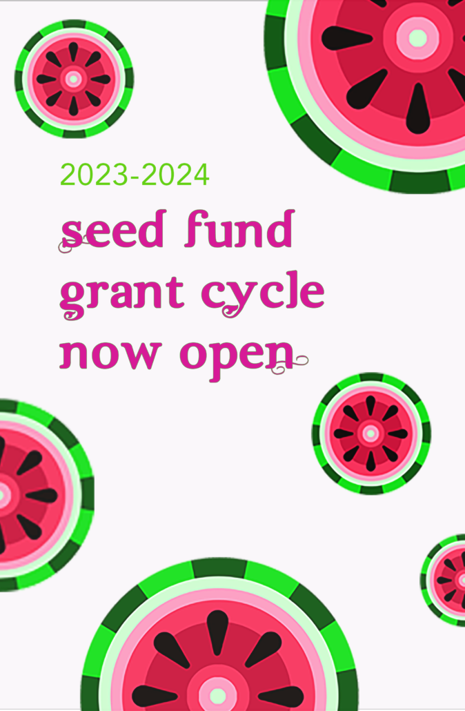 2023-24 Seed Fund Grant Proposal Guidelines - Fund the Flow Arts